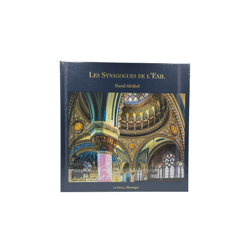 les synagogues de l'exil - acheter le livre album de david abitbol